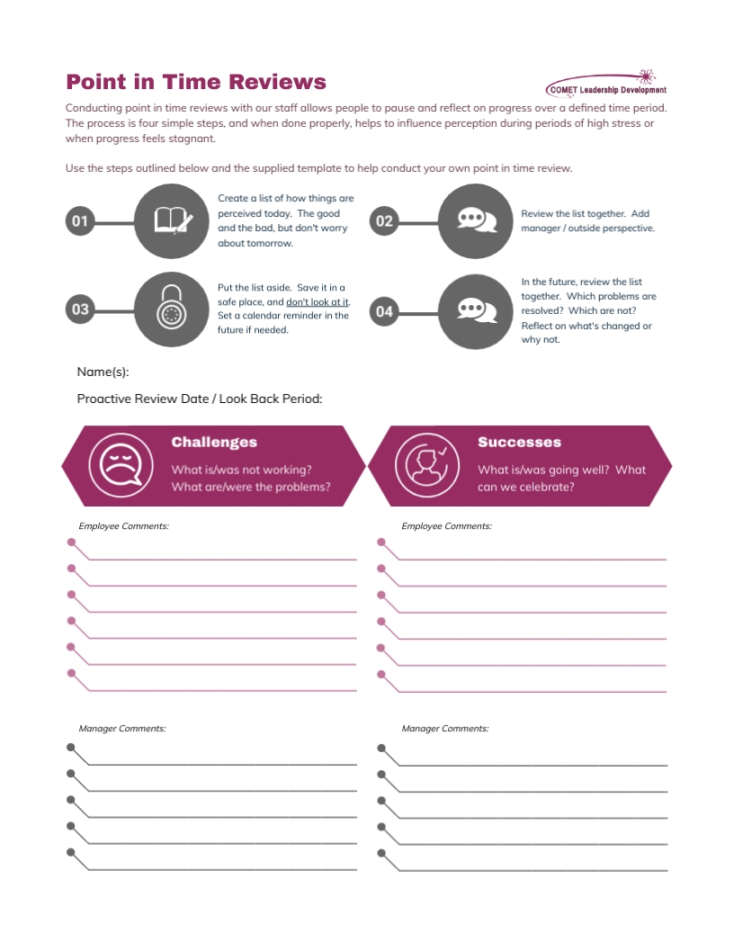 Point In Time Review Template - COMET Leadership Development